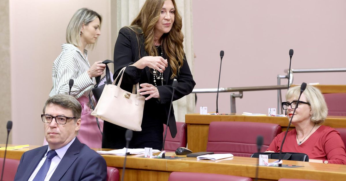 SDP-ova zastupnica na račun poreznih obveznika noćila u hotelu ...