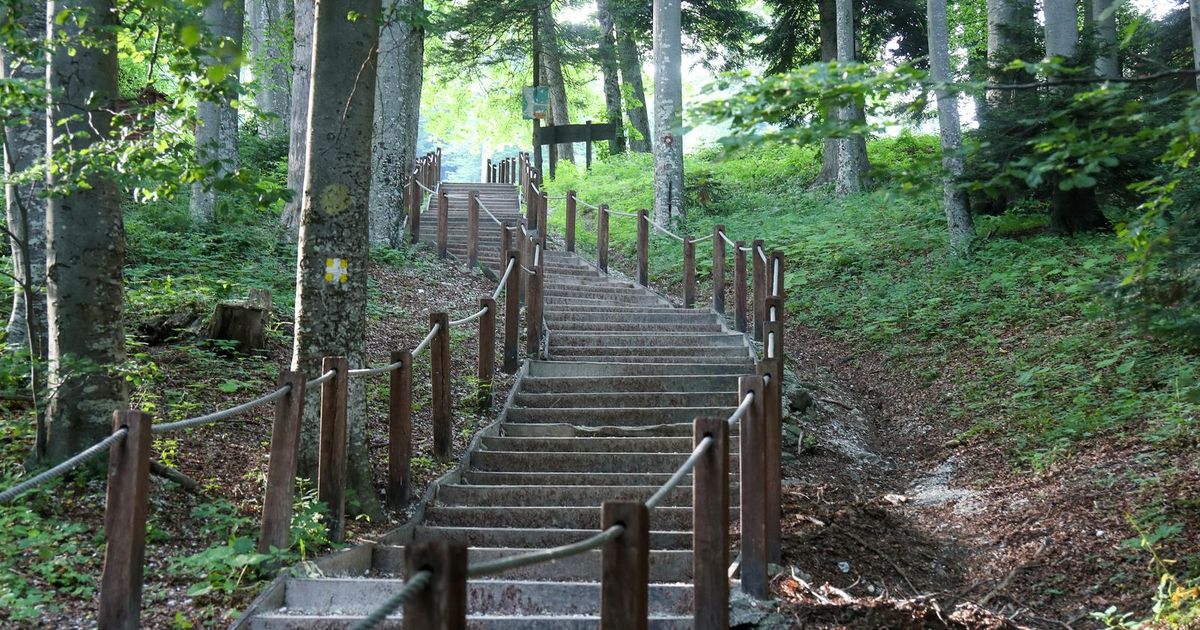 Planinarske staze: 7 popularnih u okolici Zagreba | Super1.hr