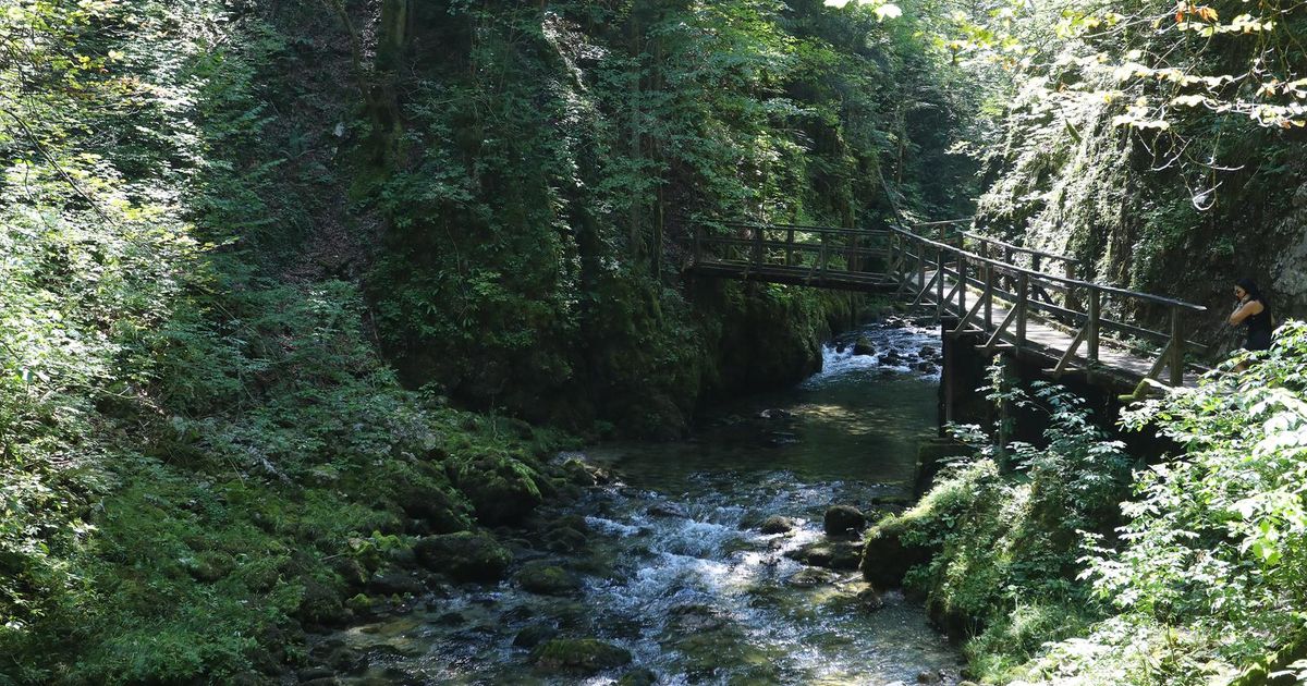 Gdje na izlet: 6 pješačkih staza u Hrvatskoj | Super1.hr