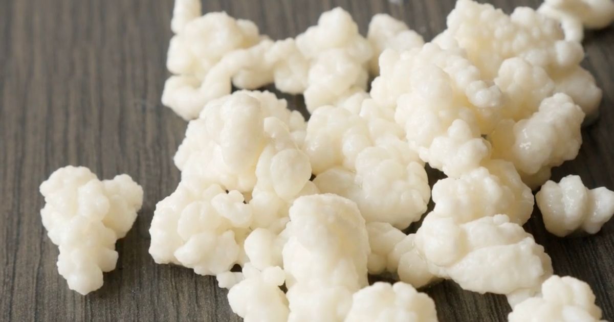 Kefirna zrnca: Kako ih napraviti, mogu li se jesti i kako znati da su ...