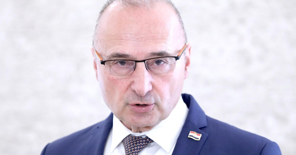 Ministar Grlić Radman onesvijestio se na domjenku HDZ-a u Zagrebu ...