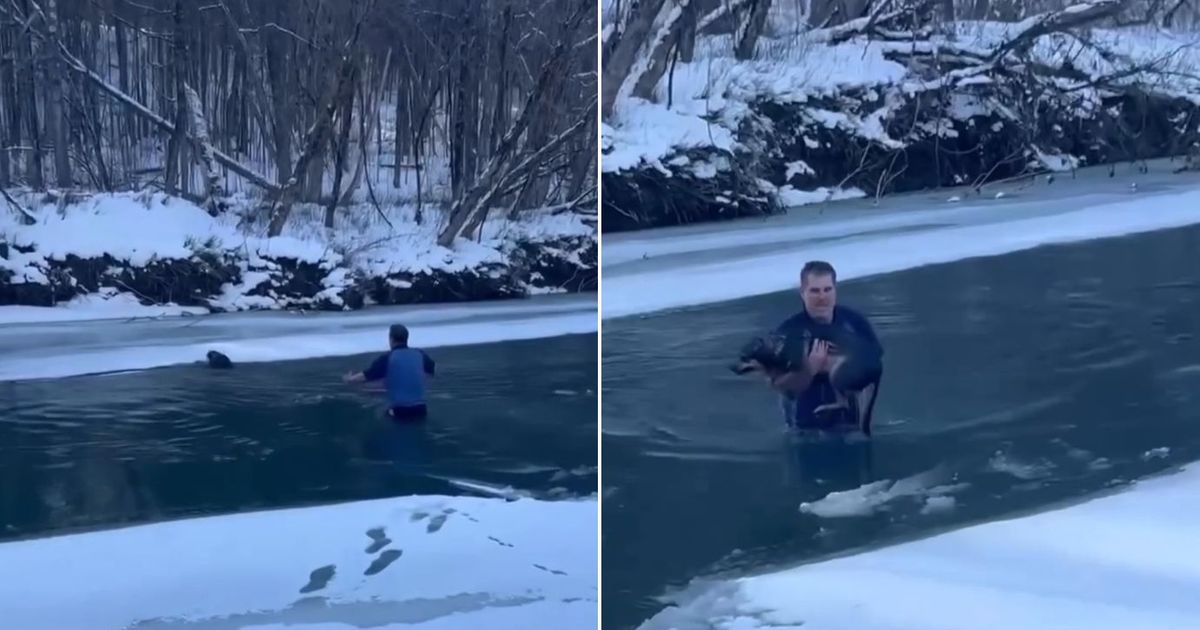 Dramatična snimka spašavanja psića iz ledene rijeke u Vermontu ...