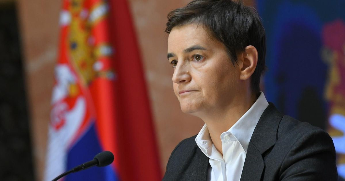Student u Srbiji pretukao profesoricu. Brnabić: 'Za to su krivi mediji ...