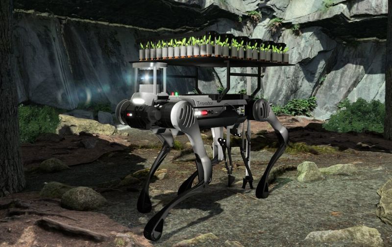 Za 15 eura napravili robot za pošumljavanje teško dostupnih terena ...