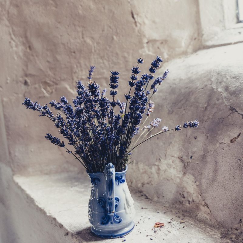 Sušena lavanda pravi je ljetni mirisni ukras za interijere. Evo na koje ...