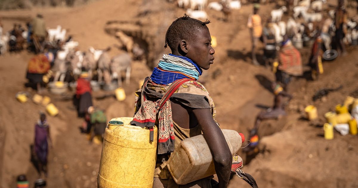 U svijetu upravo gladuje 735 milijuna ljudi. To je puno više nego lani ...