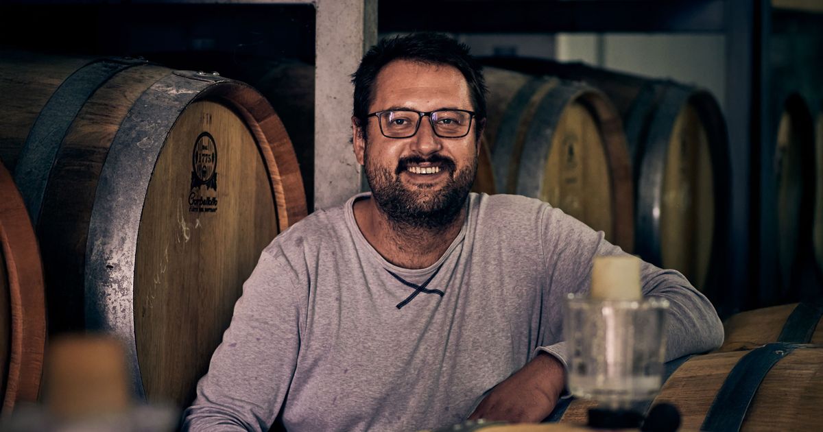 Vinarija Crvik iz Konavala: priča o uspjehu | Super1.hr