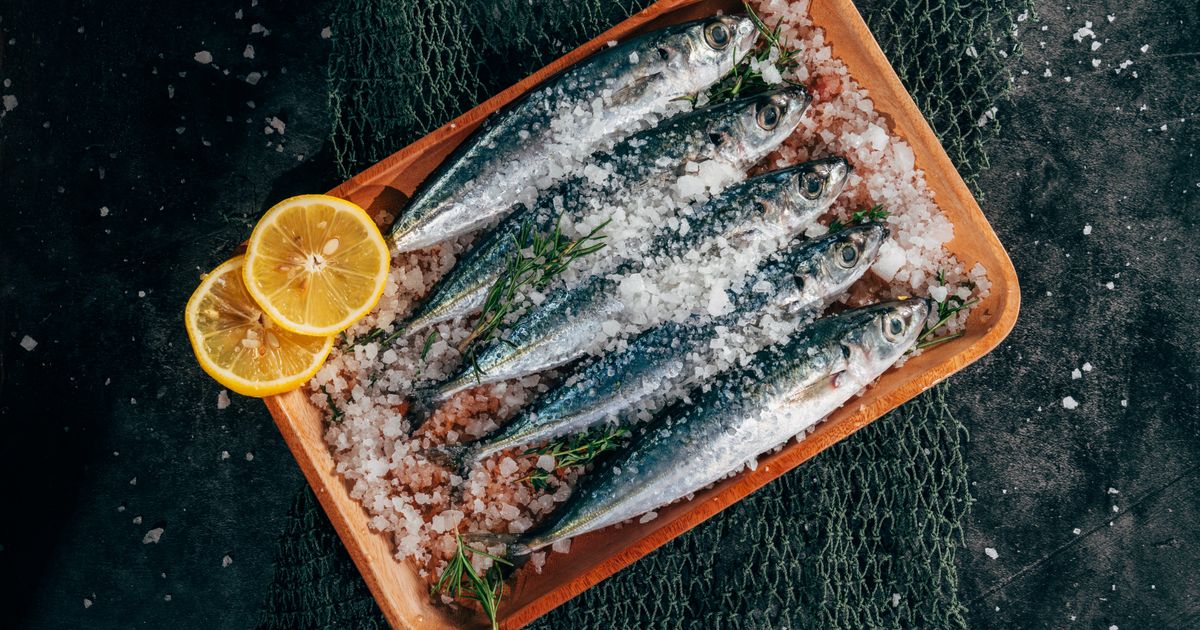 Ribe Jadrana: Popis 9 najboljih plavih i bijelih vrsta iz našeg mora ...