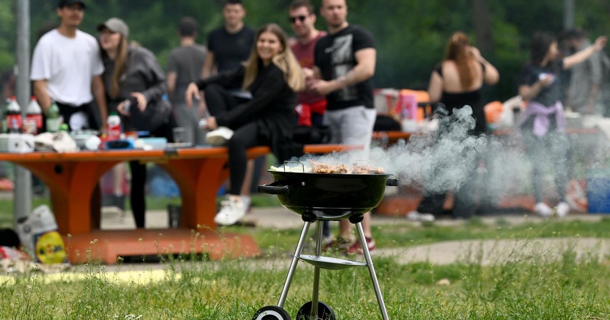 Donosi Bauhaus: Ultimativni vodič za roštilj majstore | Telegram.hr