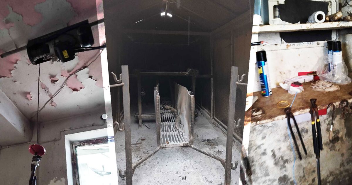 U jednoj kući u Dalmaciji otkrivena ilegalna klaonica. Inspektori ...