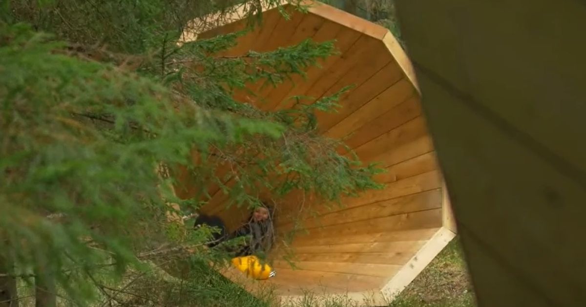 Postavljeni divovski megafoni u slovenskim šumama | Telegram.hr