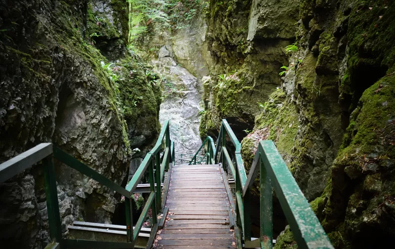 Izvor Save: Najljepše destinacije i aktivnosti u blizini | Telegram.hr