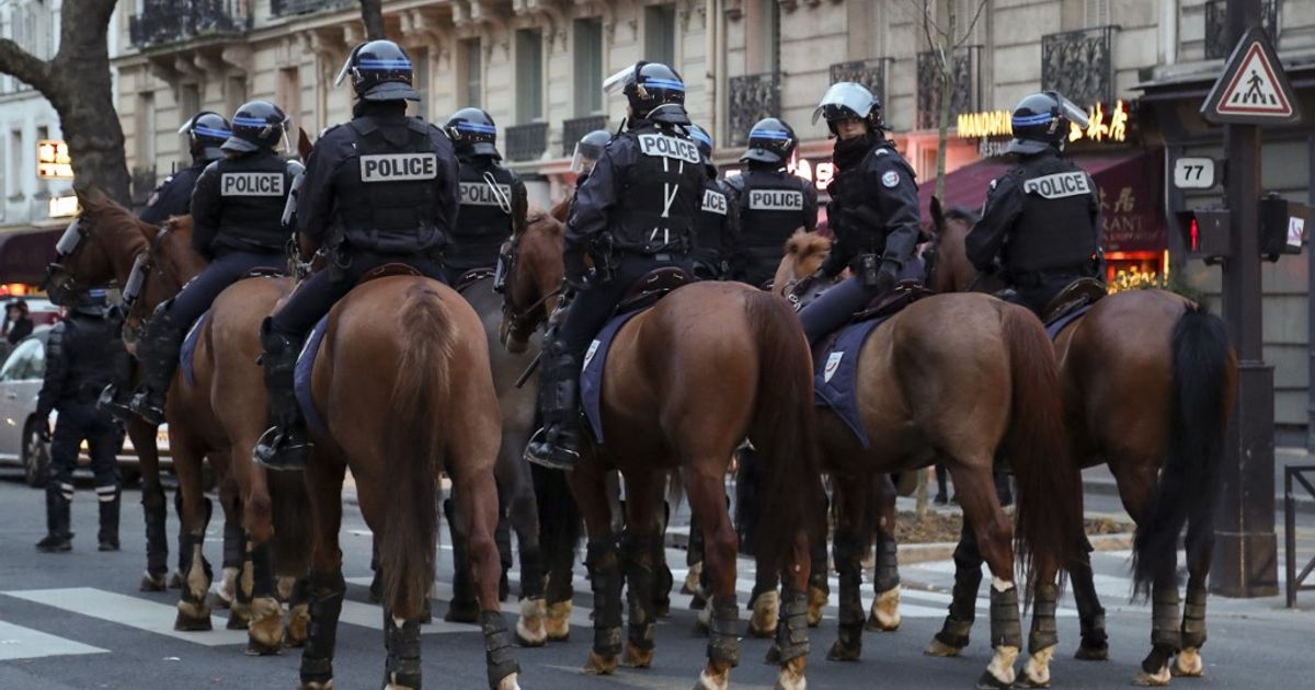 Prijatelji životinja zgroženi najavom uvođenja policijske konjice ...