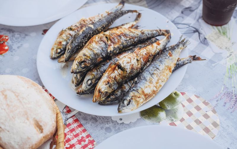 Plava riba Jadrana: Popis vrsta, zdravstvene prednosti i recepti ...