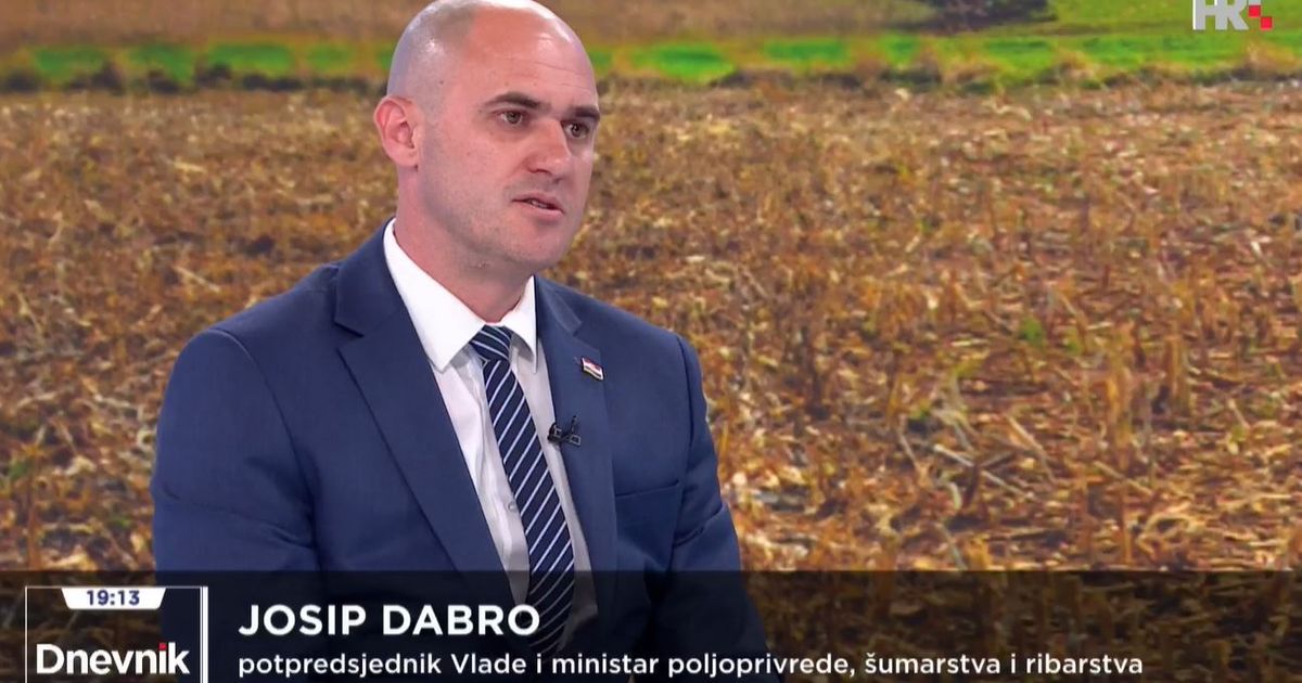 Dabro o svojoj diplomi, ni riječi o Bartulici | Telegram.hr