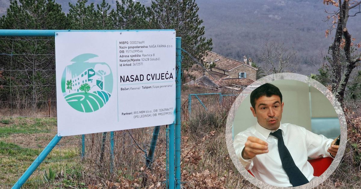 Objavljene slike parcele na kojoj je Vojković trebao posaditi tulipane ...