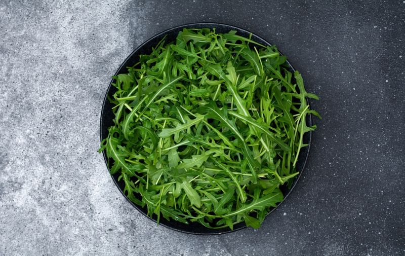 Rikola: Zdravstvene prednosti, ljekovita svojstva i kako se uzgaja ...