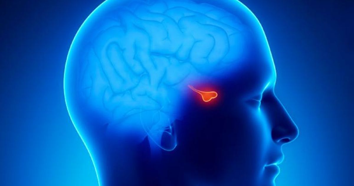 Najčešće bolesti i simptomi problema s hipofizom | Telegram.hr