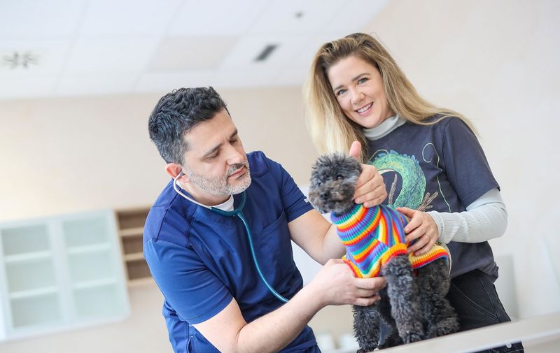 Otvorena najveća 24/7 privatna veterinarska klinika u Zagrebu Buba u ...
