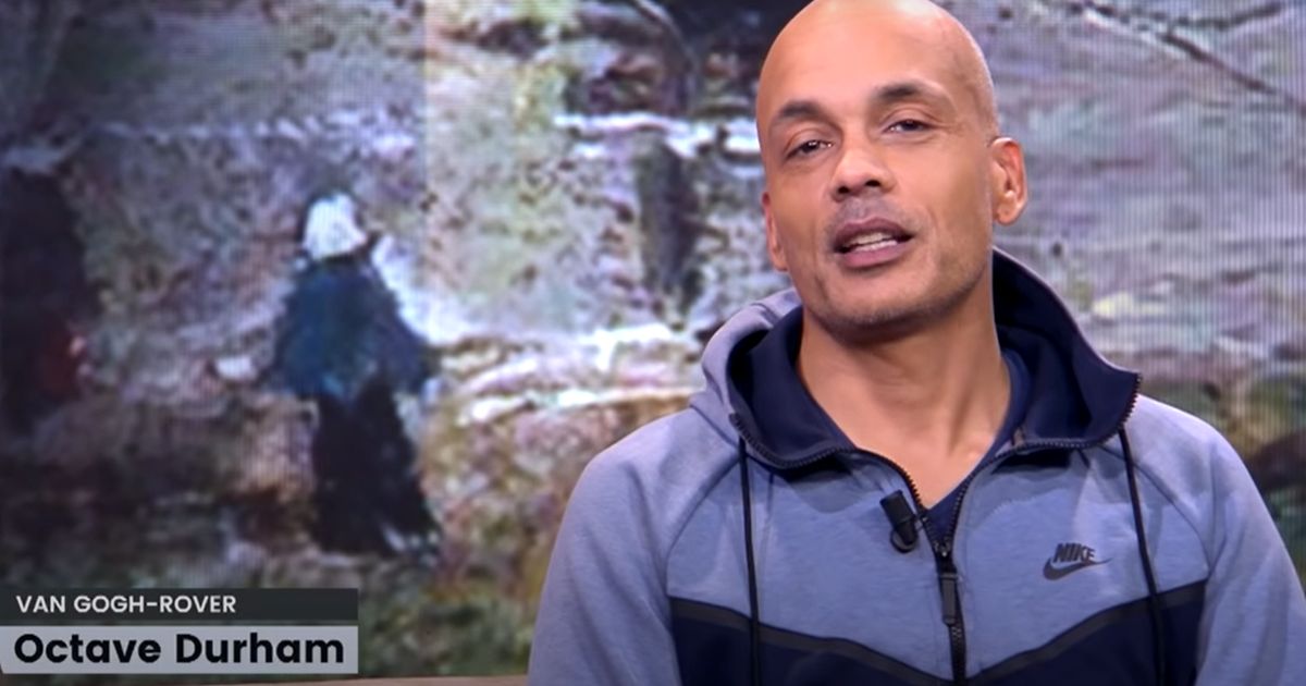 Što učiniti s ukradenom slikom van Gogha? Ovaj gospodin, koji je maznuo ...