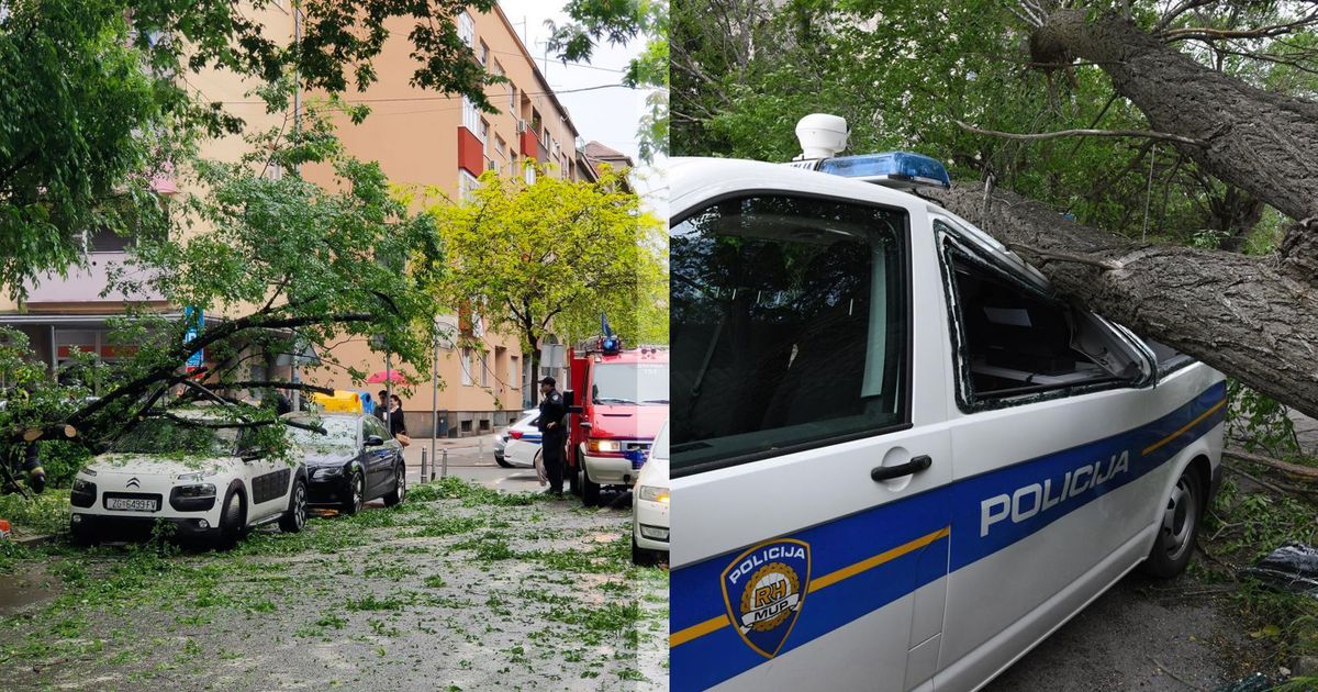 Foto. Stablo se srušilo na ulicu u centru Zagreba i poklopilo aute, u Šibeniku teško oštećen ...
