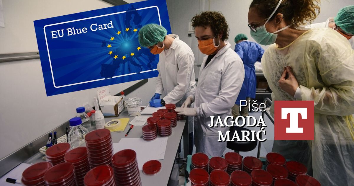 Plava karta u Hrvatsku privlači Ruse, znanstvenici idu u Sloveniju | Telegram.hr