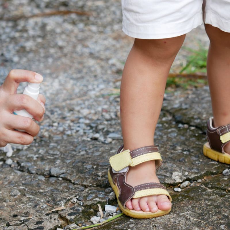 Ljetne nezgode: kako se zaštititi od neugodnih uboda insekata | Super1.hr