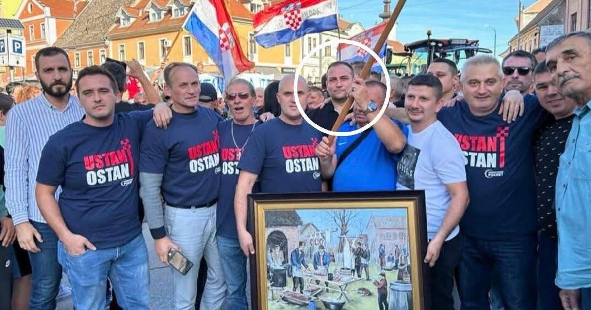Vlajčić tvrdi da su DP i Dabro spasili slavonsko selo od afričke ...