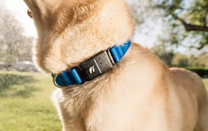 Fascinantne fotografije: Planeti sunčevog sustava po redu | Telegram.hr