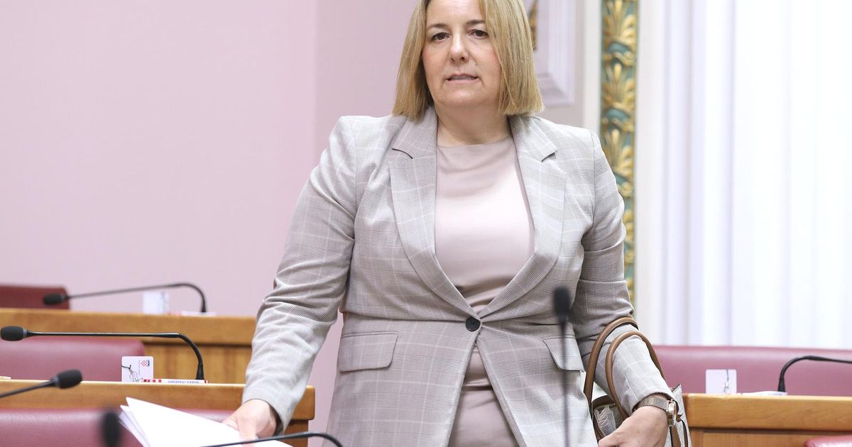 Nepalac odgovorio HDZ-ovki koja priča o 'škurima, crnima i malima ...