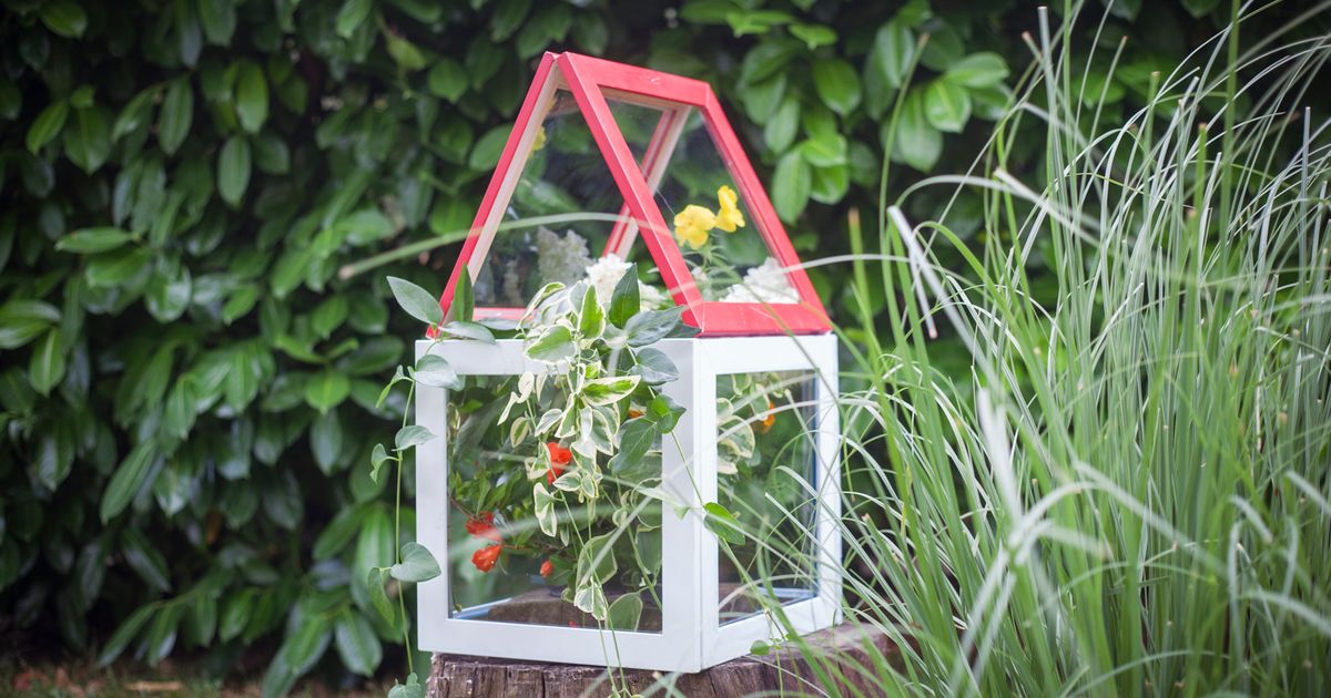 Telegramova Dobra ideja za dizajn doma: mini staklenik od okvira za ...